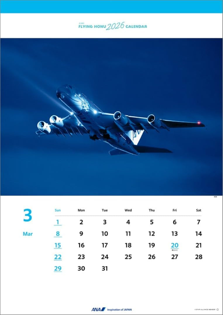 ANA 'A380 FLYING HONU' 2026 Wall Calendar CL25-1158 — Japanese Book Store