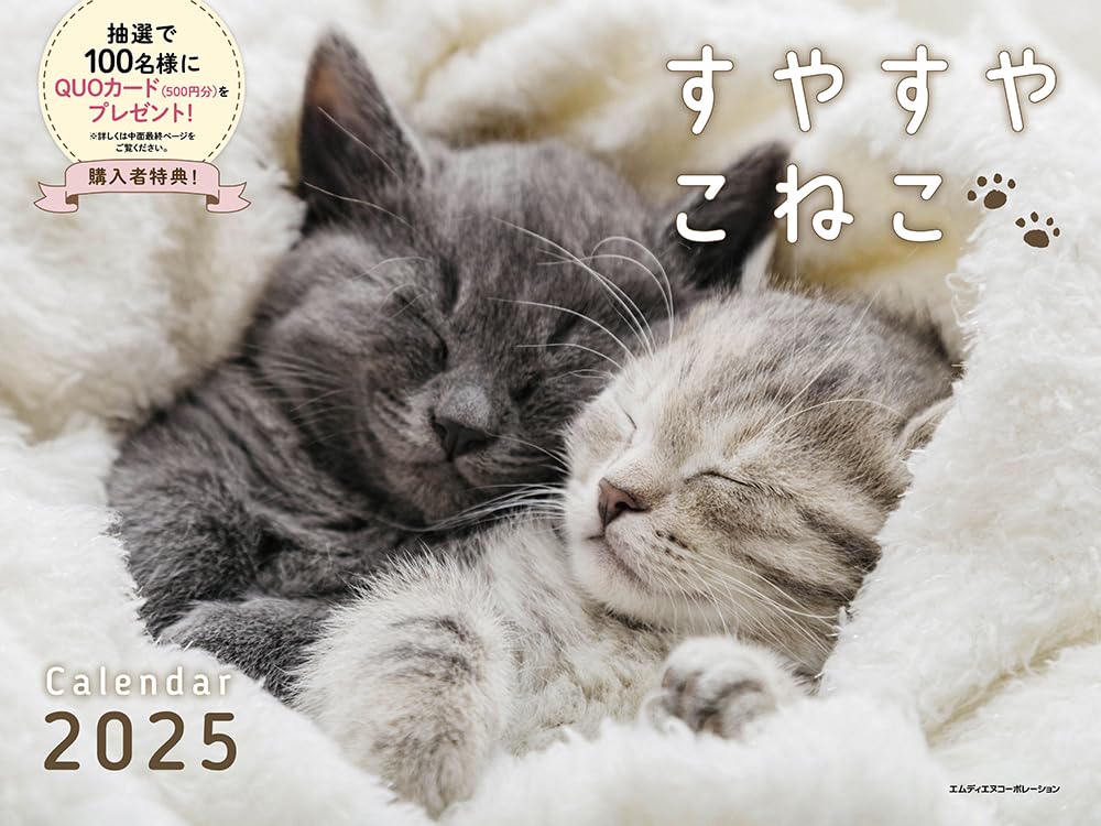 2025 Sleepy Kittens Calendar — Japanese Book Store