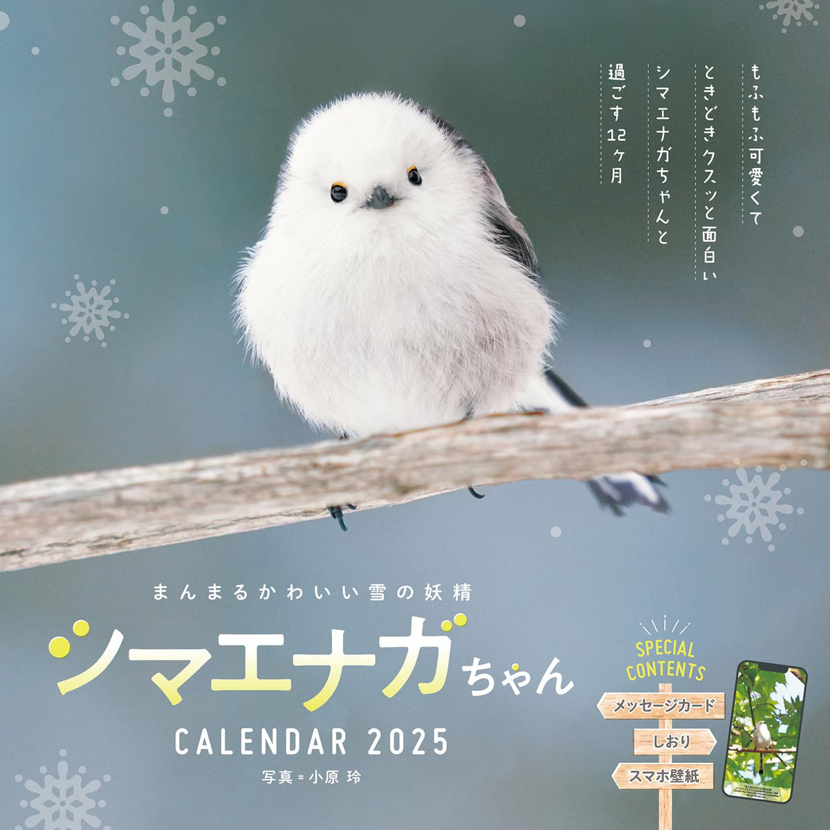 Manmaru Kawaii Snow Fairy Shimaenaga-chan CALENDAR 2025 (Impress ...
