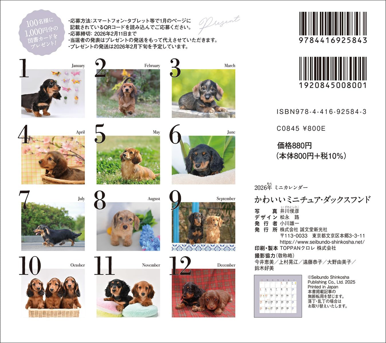 2026 Adorable Miniature Dachshund Calendar (Seibundo-shinkosha Calendar ...