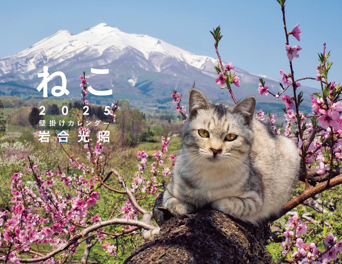 Mitsuaki Iwago Cat Wall Calendar 2025 — Japanese Book Store