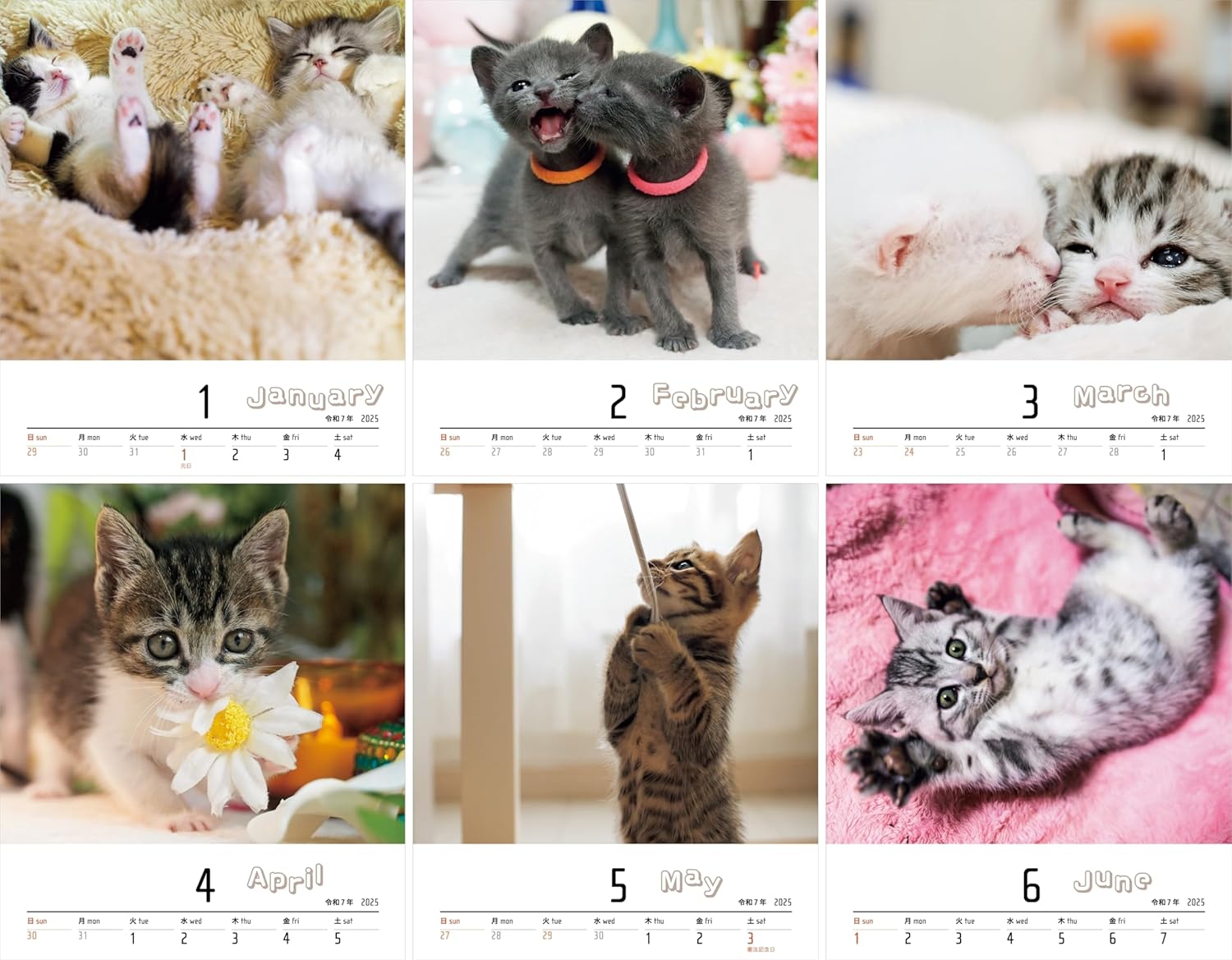 2025 Calendar Tiny Cat Mofu (Monthly / Wall Hanging) — Japanese Book Store