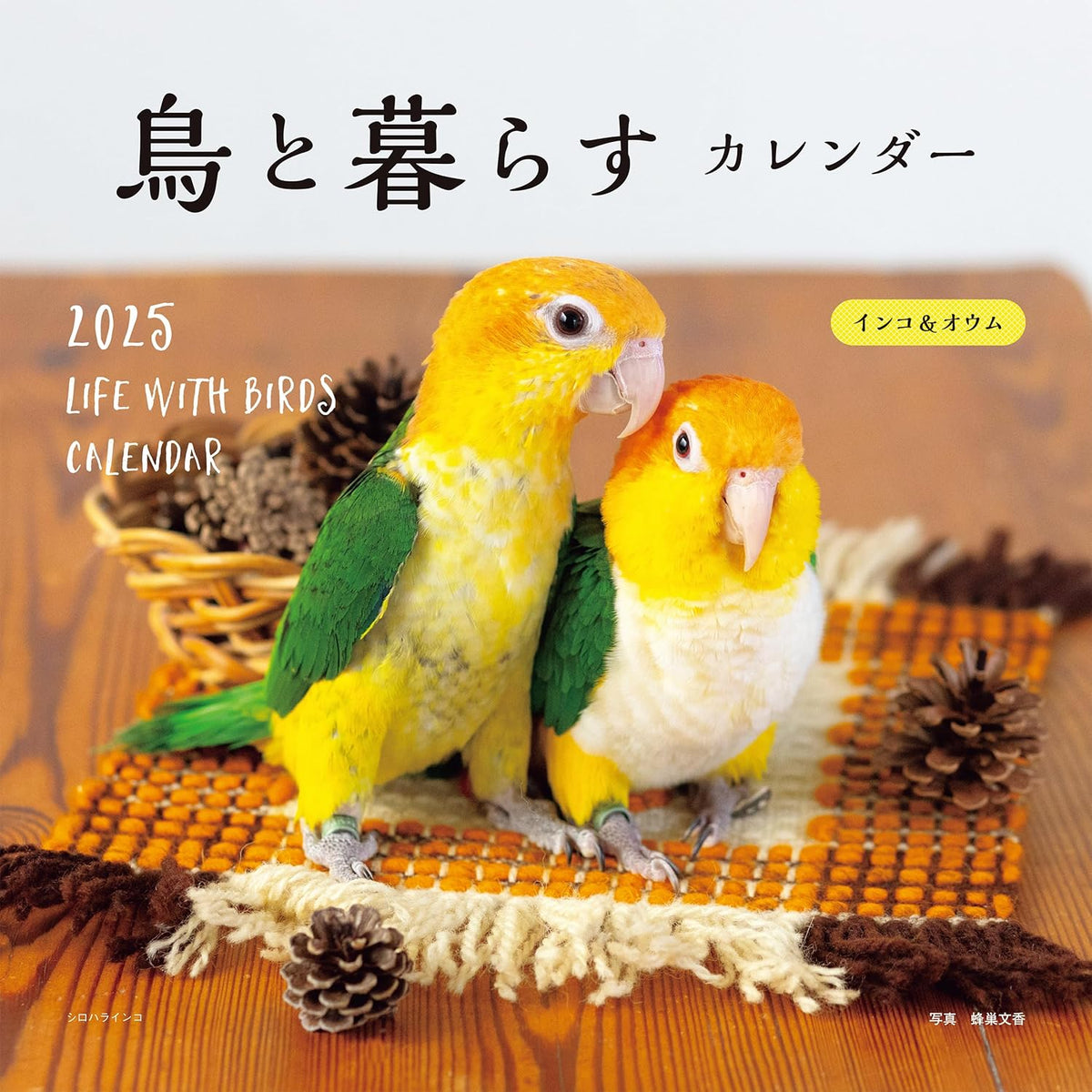 2025 Life with Birds Calendar Parakeets & Parrots — Japanese Book Store