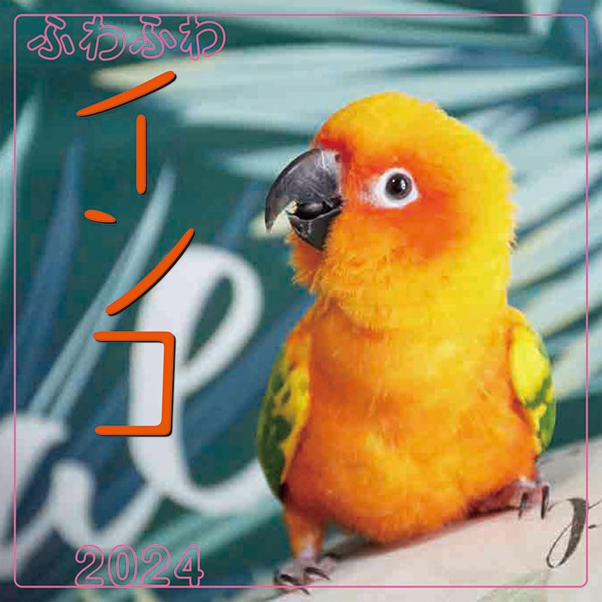 Try-X 2024 Wall Calendar Fluffy Parakeet CL-386 48x24cm — Japanese Book ...