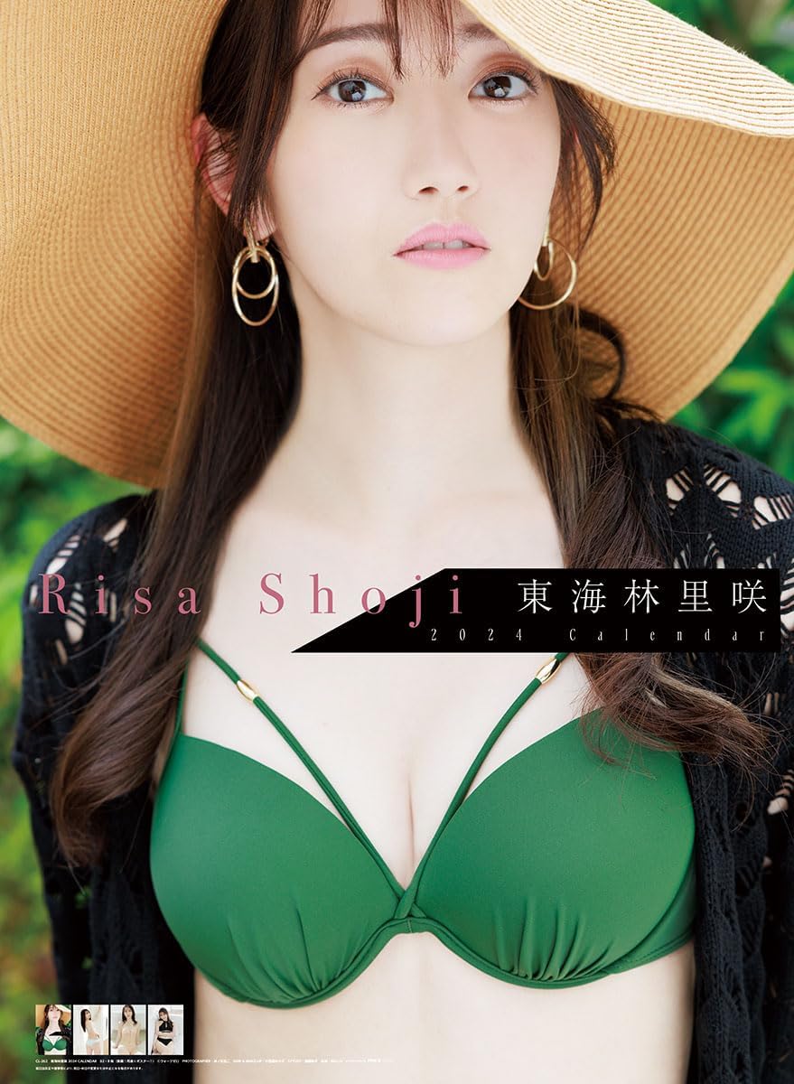 Try-X Risa Shoji 2024 Wall Calendar CL-262 B2 — Japanese Book Store