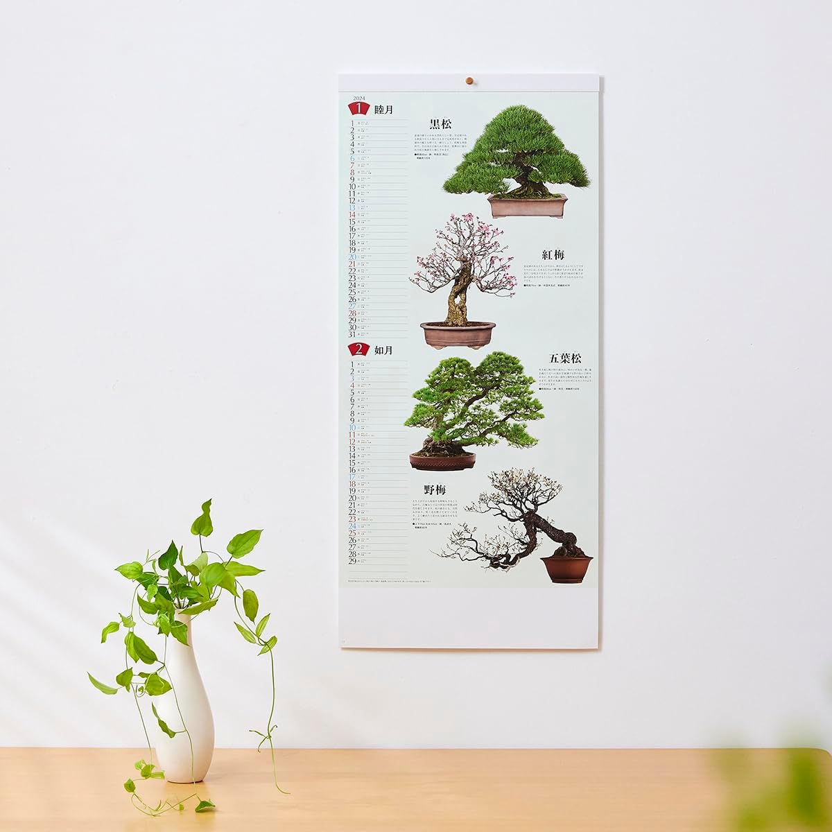 New Japan Calendar 2024 Wall Calendar Bonsai Calendar NK152 770x350mm ...