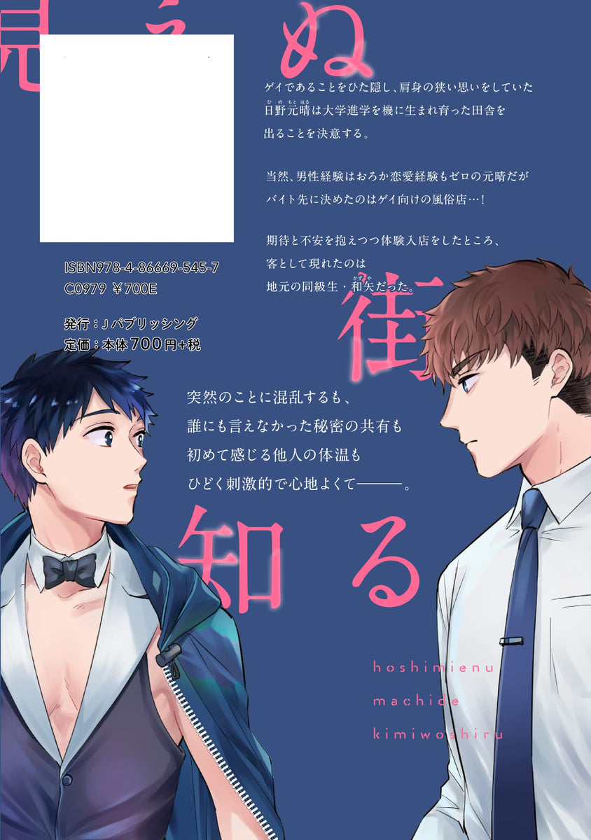 Hoshi Mienu Machi de Kimi wo Shiru – Japanese Book Store