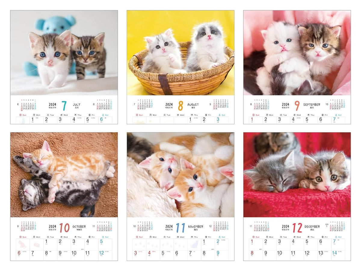 Fuwa Fuwa Nyanko (Impress Calendar 2024) – Japanese Book Store